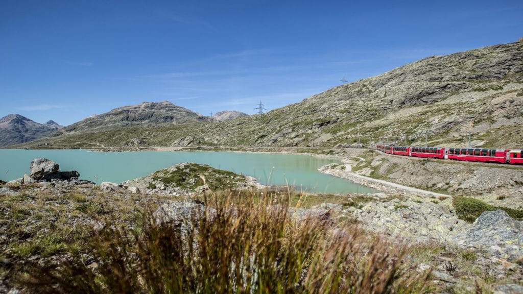 Bernina and Glacier train, two routes in one day from Milan - Zani Viaggi