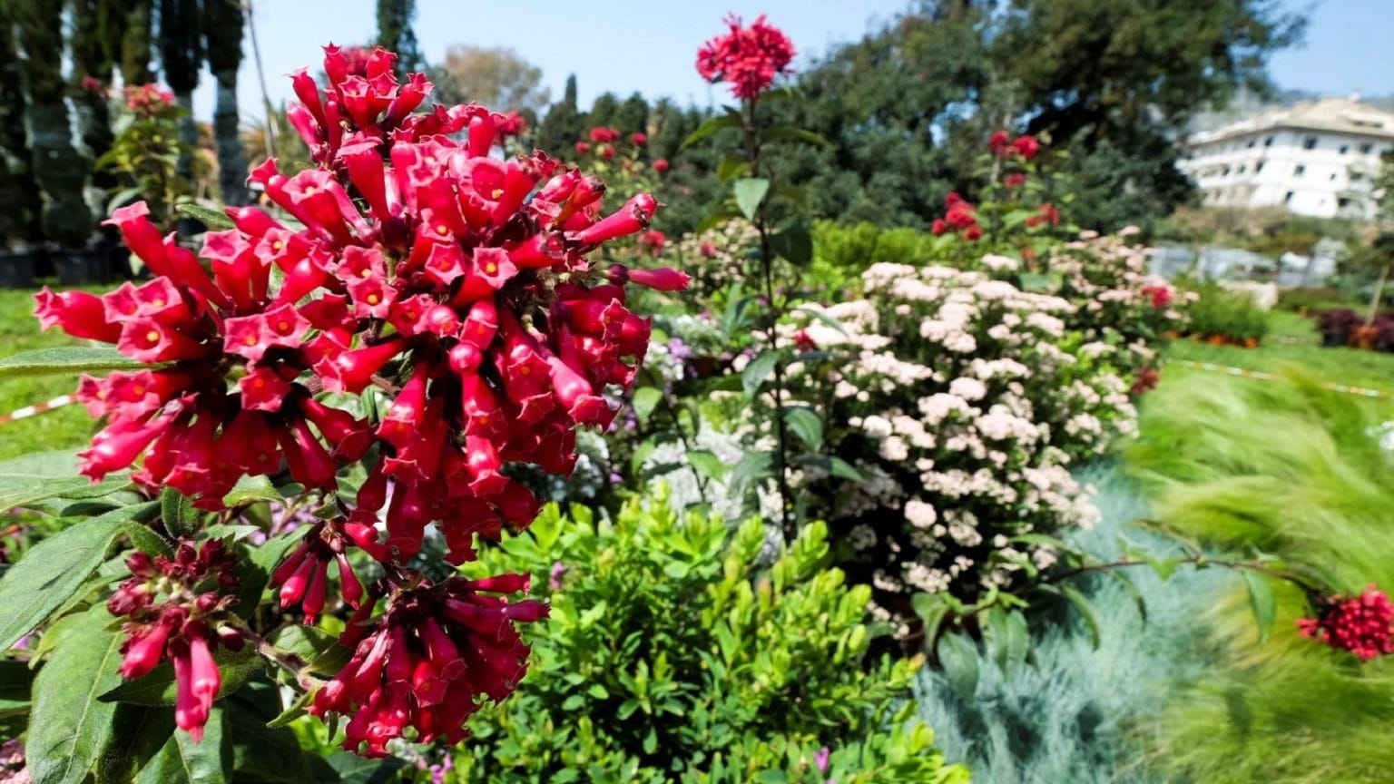 Euroflora 2025: la mostra internazionale di piante e fiori - Zani Viaggi