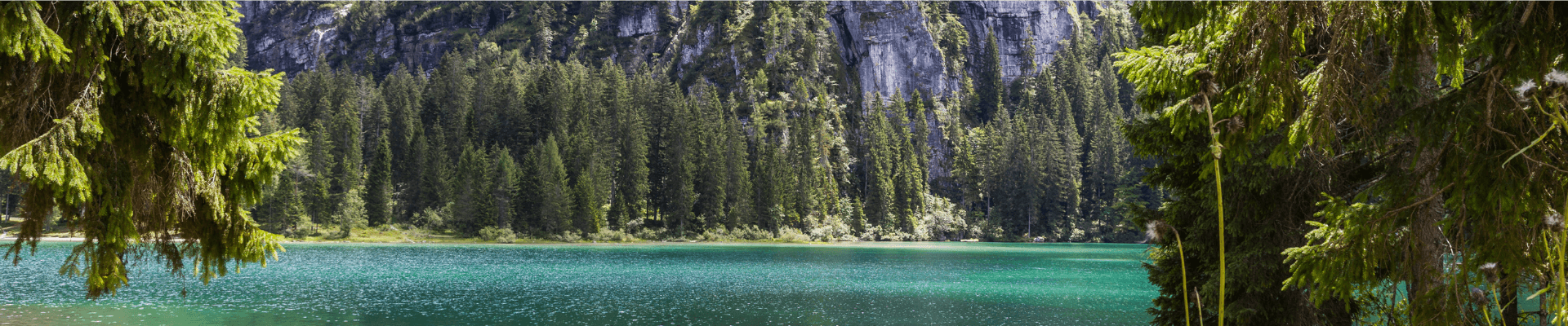 Lago di Tovel e Castel Thun - Zani Viaggi